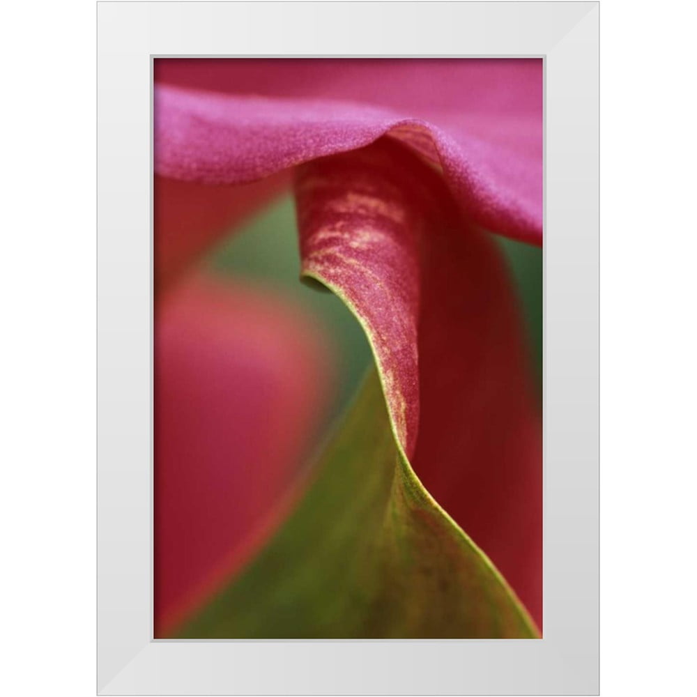 Rotenberg, Nancy 11x14 White Modern Wood Framed Museum Art Print Titled ...