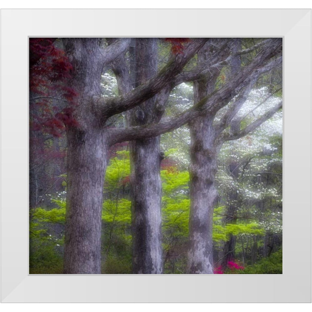 Rotenberg, Nancy 13x12 White Modern Wood Framed Museum Art Print Titled ...