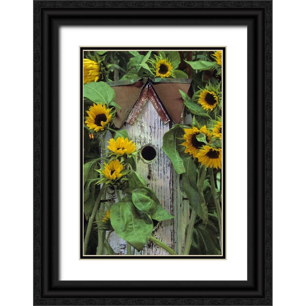 Rotenberg, Nancy 13x18 Black Ornate Wood Framed with Double Matting Museum Art Print Titled ...
