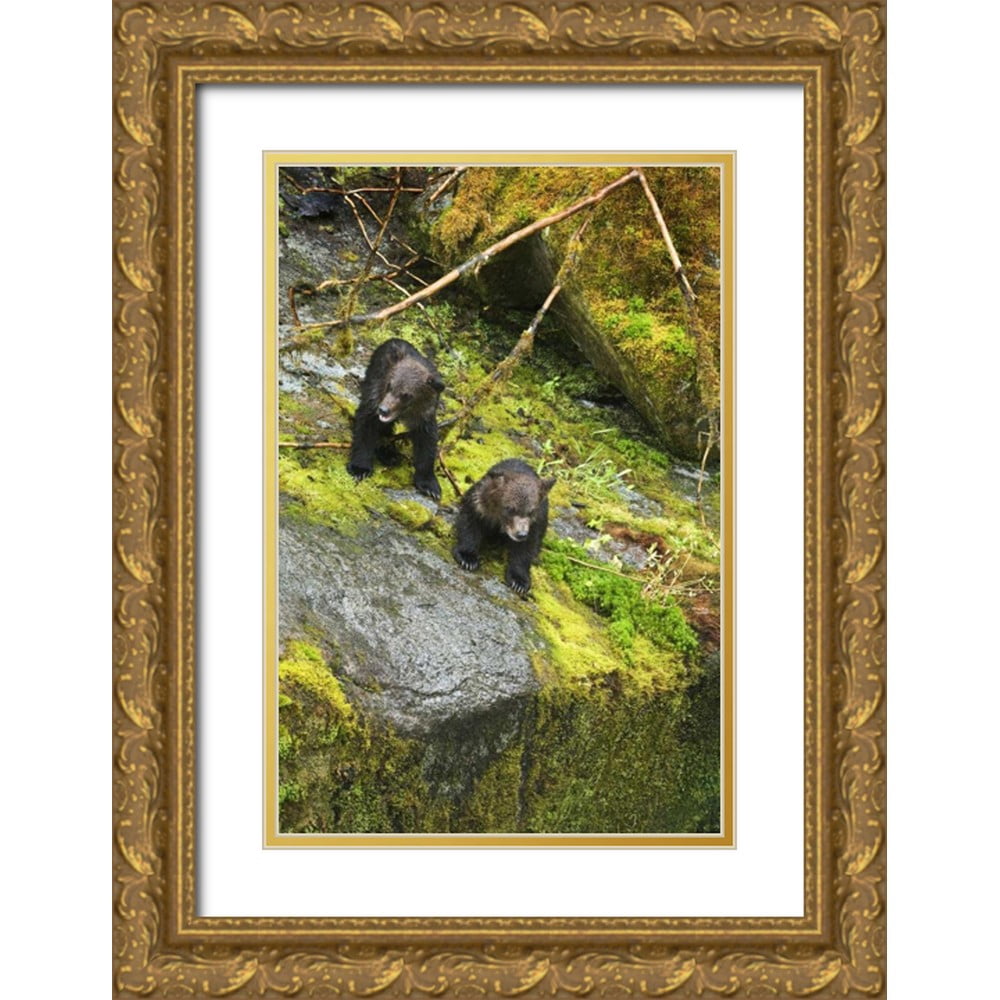 Rotenberg, Nancy 13x18 Gold Ornate Wood Framed with Double Matting ...