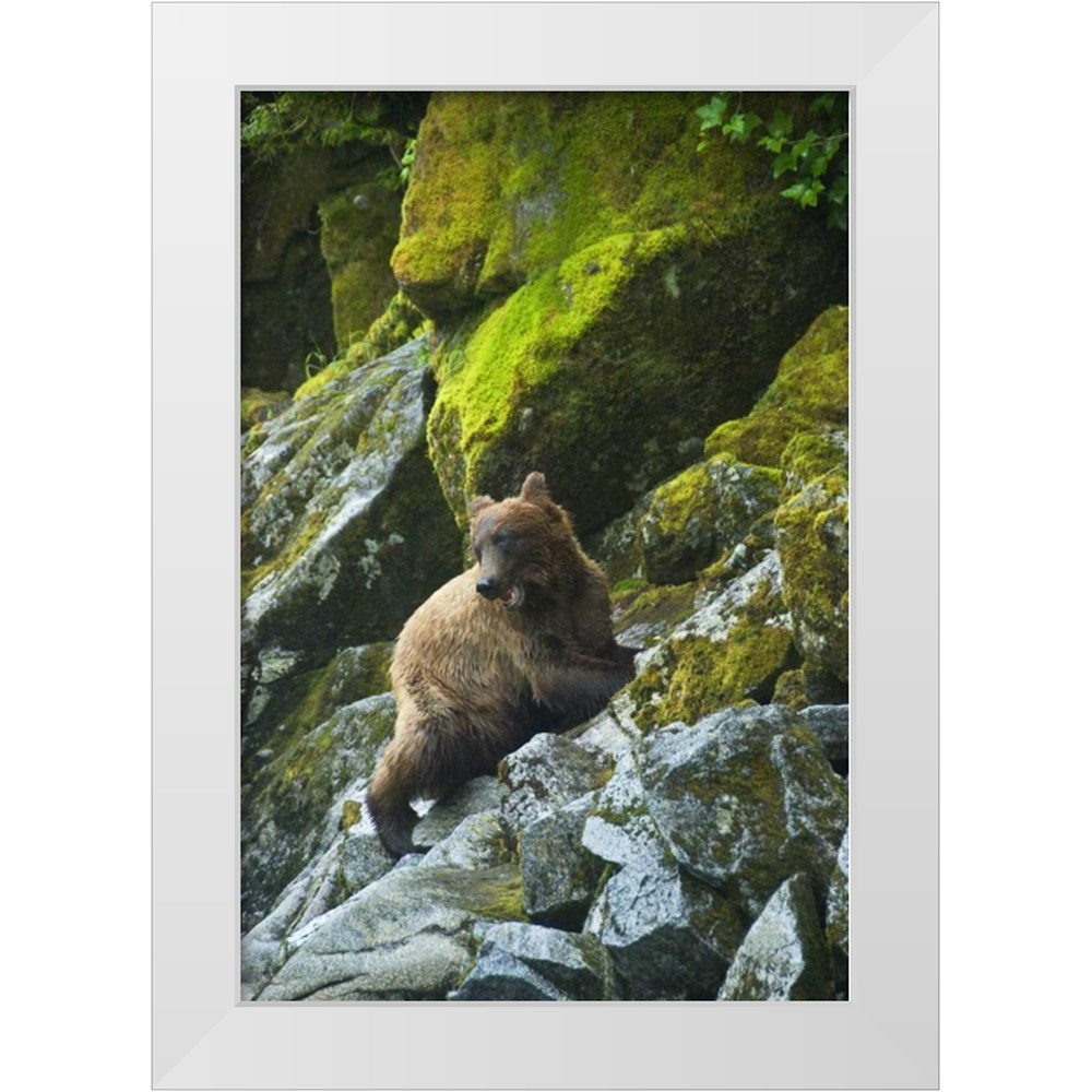 Rotenberg, Nancy 13x18 White Modern Wood Framed Museum Art Print Titled ...