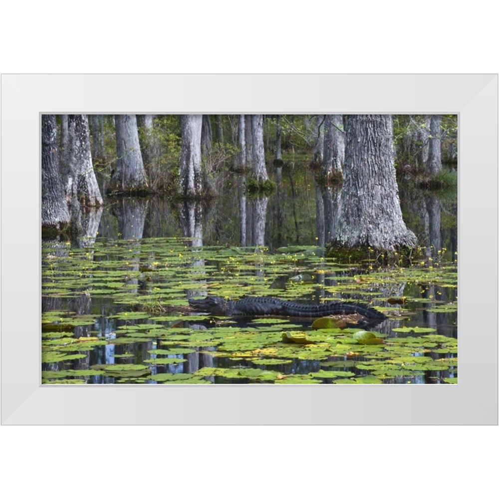 Rotenberg, Nancy 14x10 White Modern Wood Framed Museum Art Print Titled ...