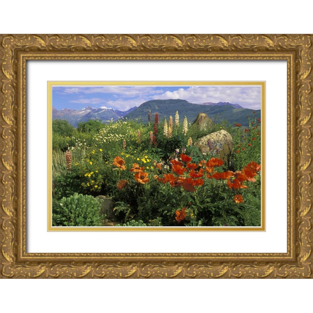 Rotenberg, Nancy 14x11 Gold Ornate Wood Framed with Double Matting ...
