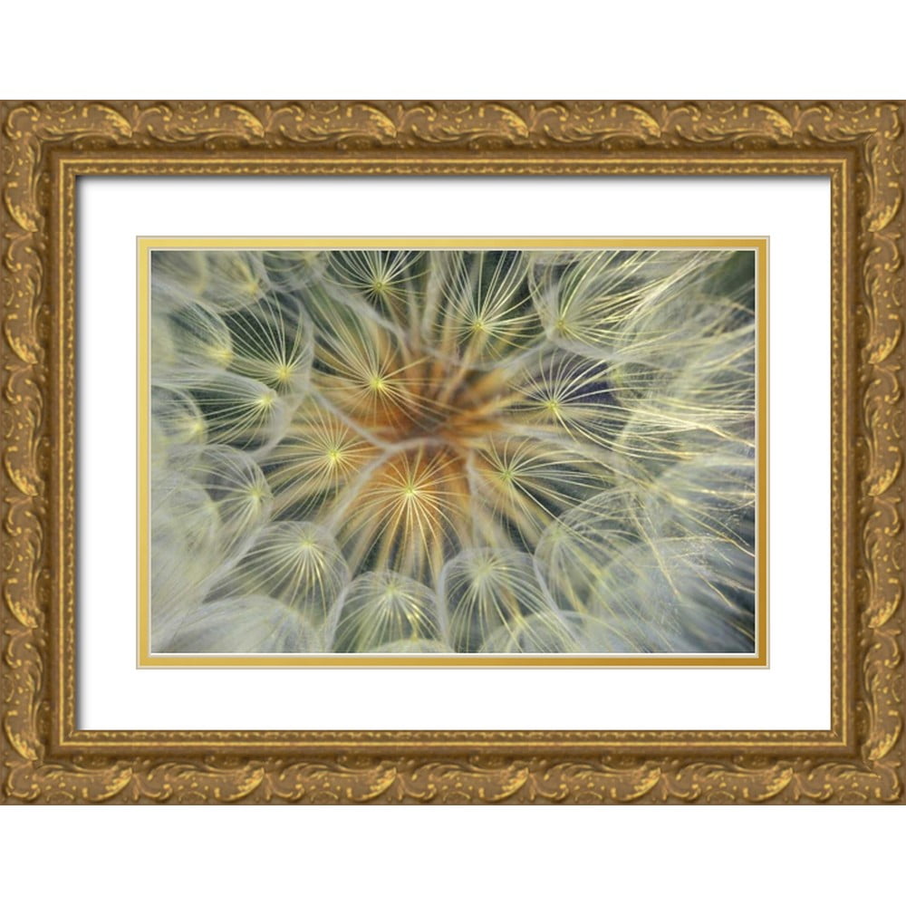 Rotenberg, Nancy 14x11 Gold Ornate Wood Framed with Double Matting ...