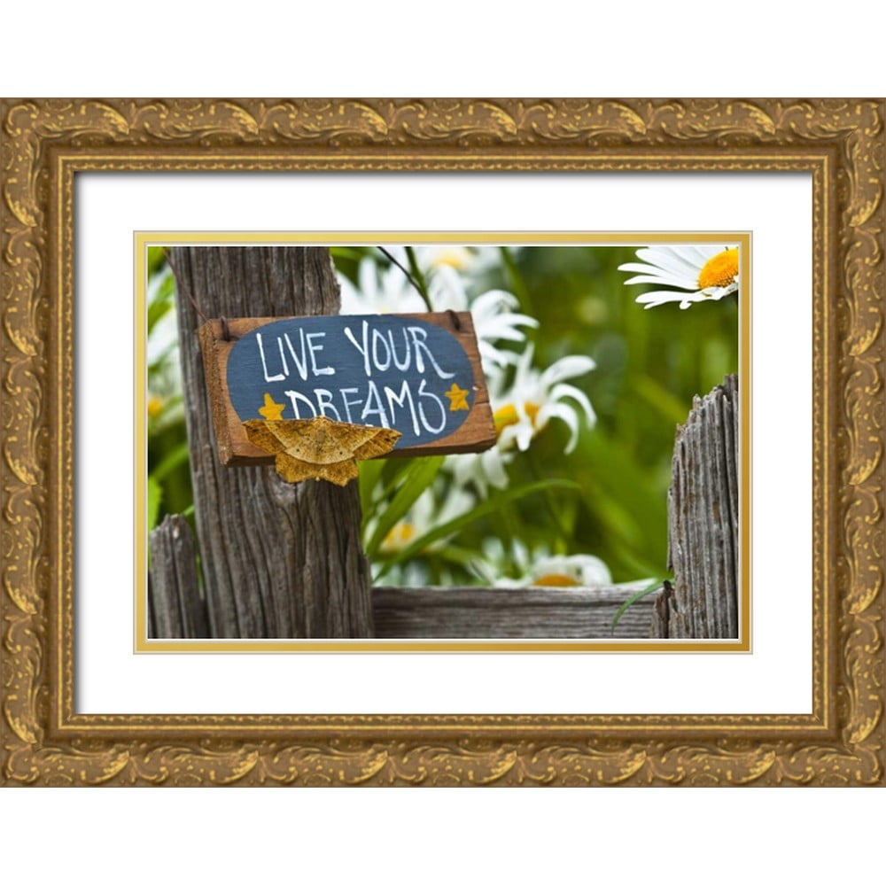 Rotenberg, Nancy 14x11 Gold Ornate Wood Framed with Double Matting ...