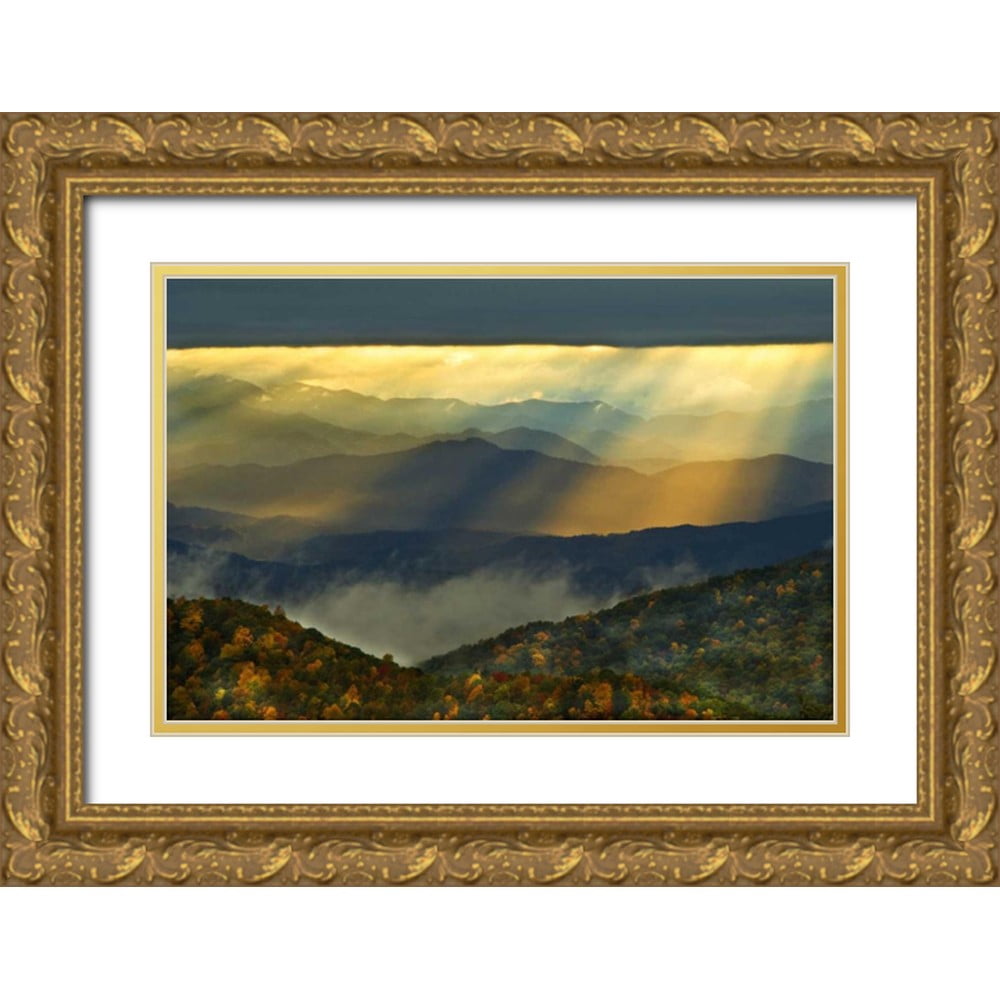 Rotenberg, Nancy 14x11 Gold Ornate Wood Framed with Double Matting ...