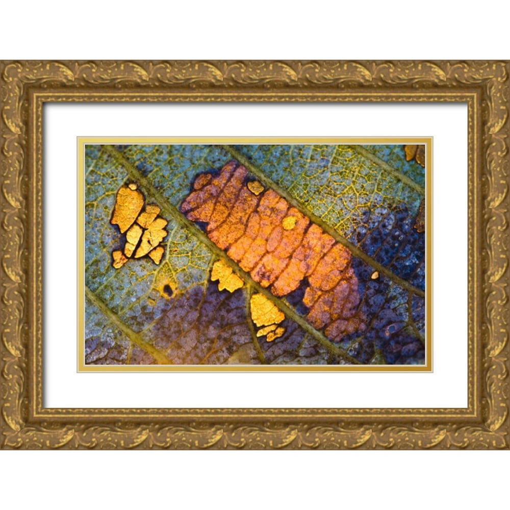 Rotenberg, Nancy 14x11 Gold Ornate Wood Framed with Double Matting ...