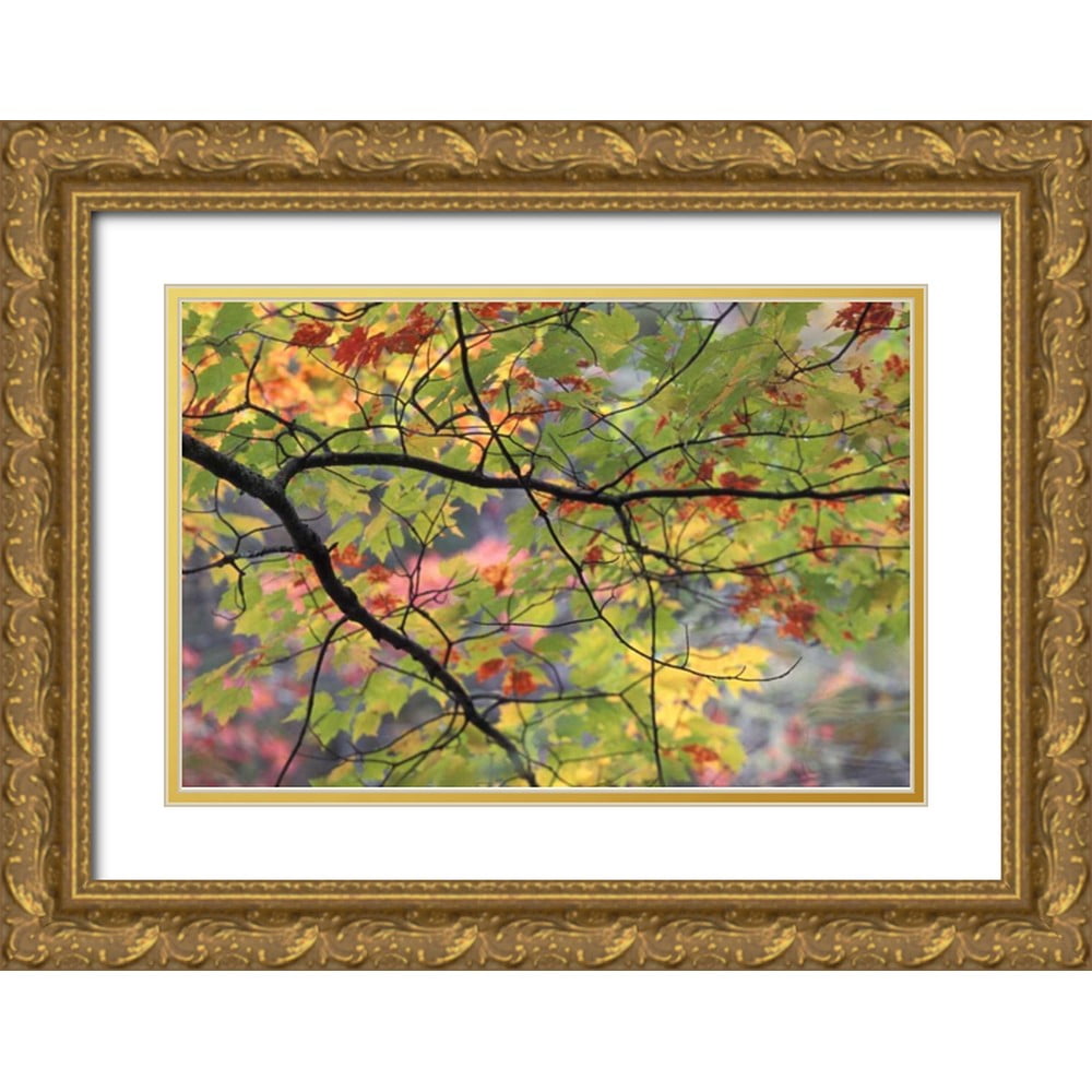 Rotenberg, Nancy 14x11 Gold Ornate Wood Framed with Double Matting ...