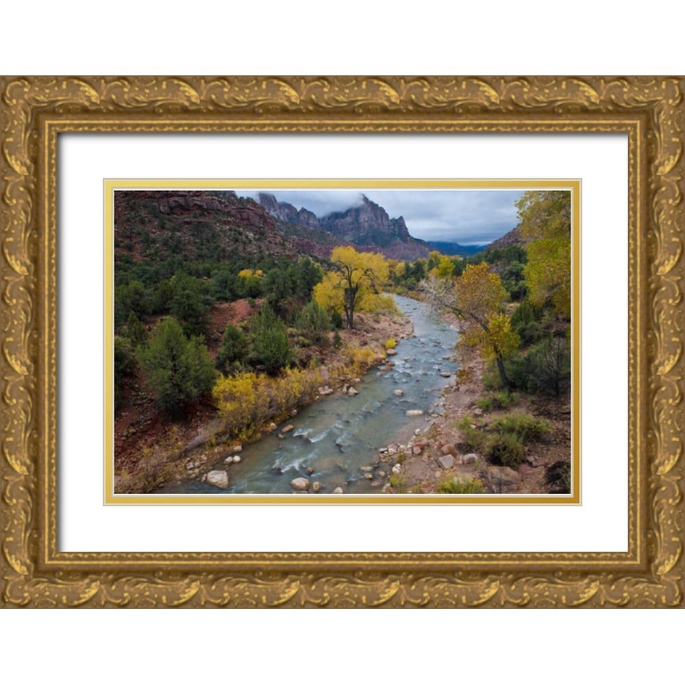 Rotenberg, Nancy 14x11 Gold Ornate Wood Framed with Double Matting ...