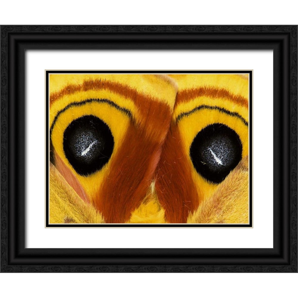 Rotenberg, Nancy 14x12 Black Ornate Wood Framed with Double Matting ...