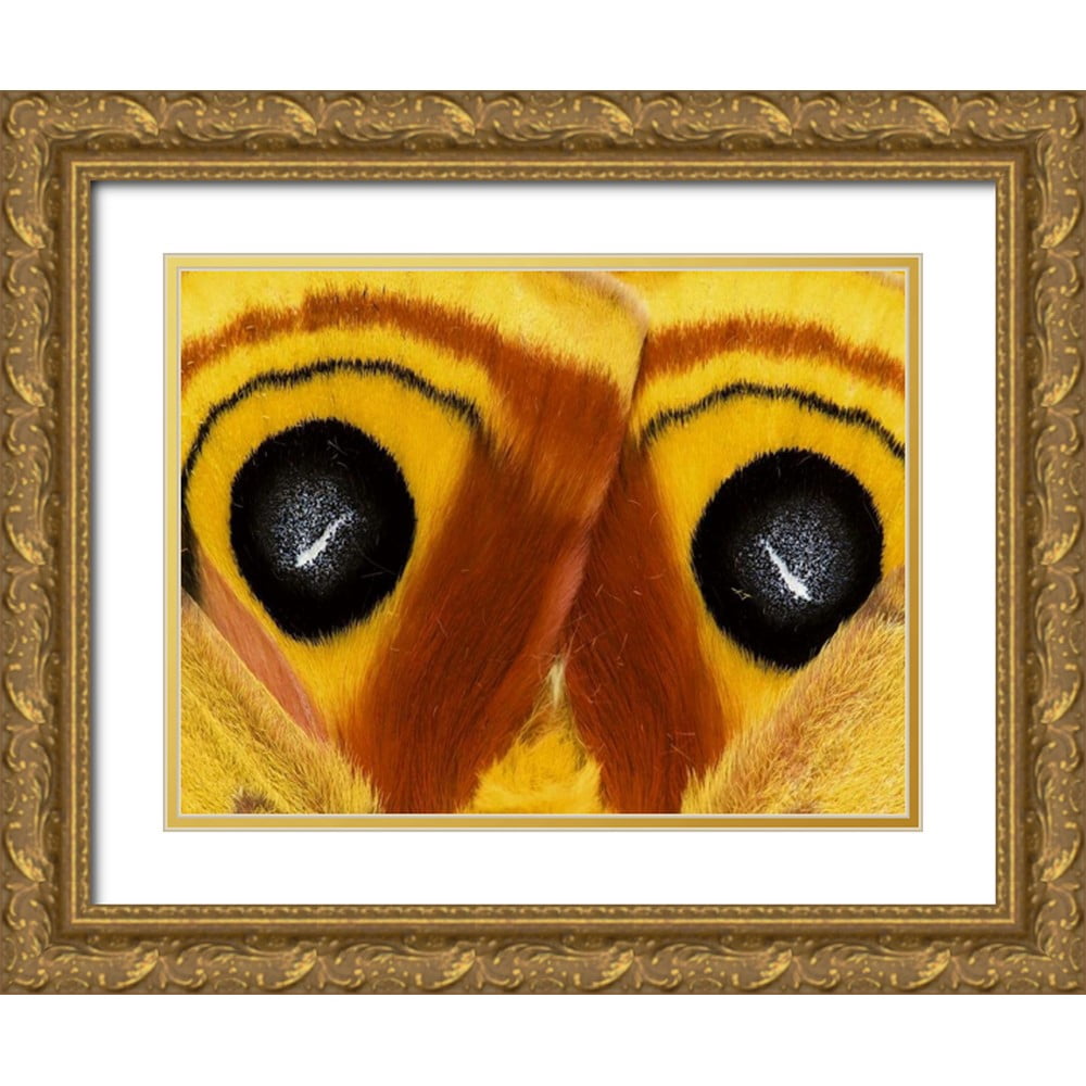 Rotenberg, Nancy 14x12 Gold Ornate Wood Framed with Double Matting ...