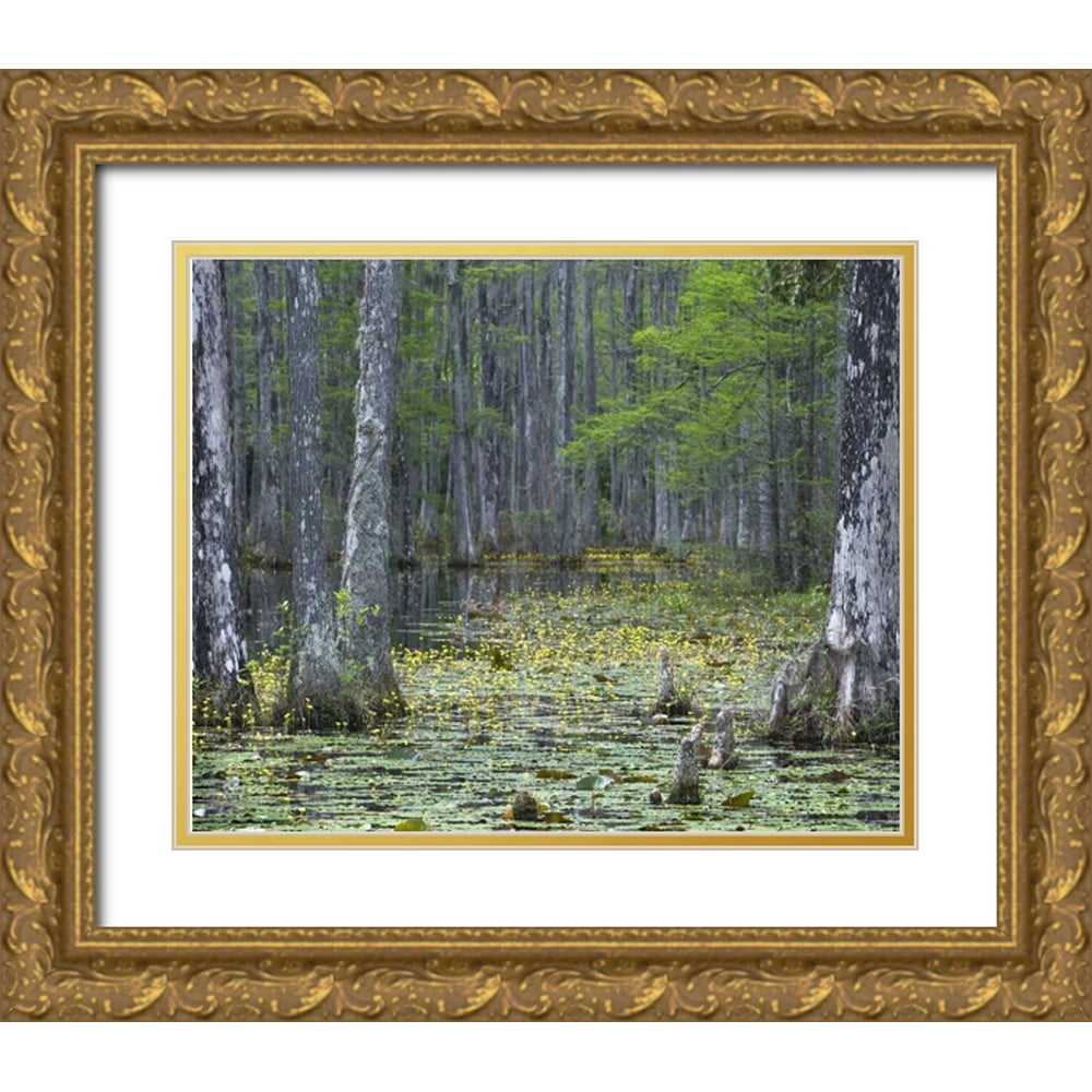 Rotenberg, Nancy 14x12 Gold Ornate Wood Framed with Double Matting ...