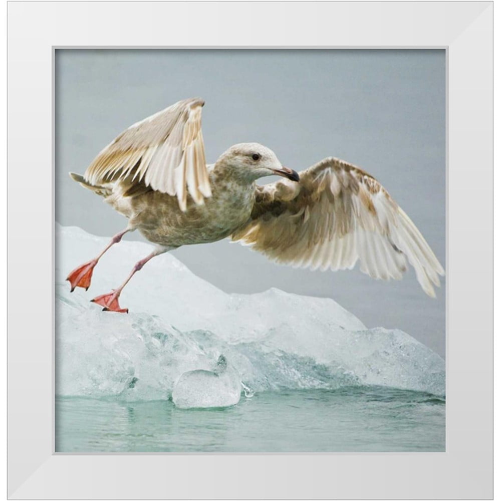 Rotenberg, Nancy 15x15 White Modern Wood Framed Museum Art Print Titled ...