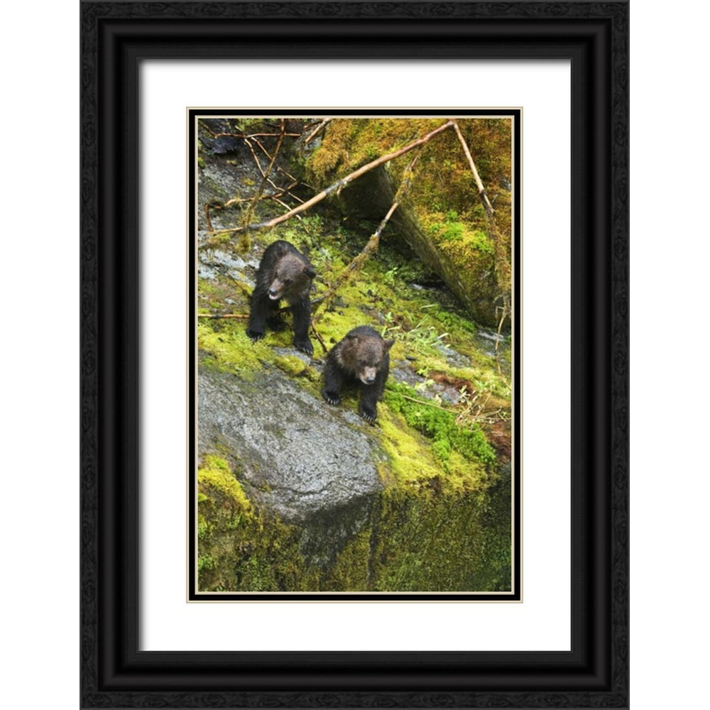 Rotenberg, Nancy 17x24 Black Ornate Wood Framed with Double Matting Museum Art Print Titled - AK ...