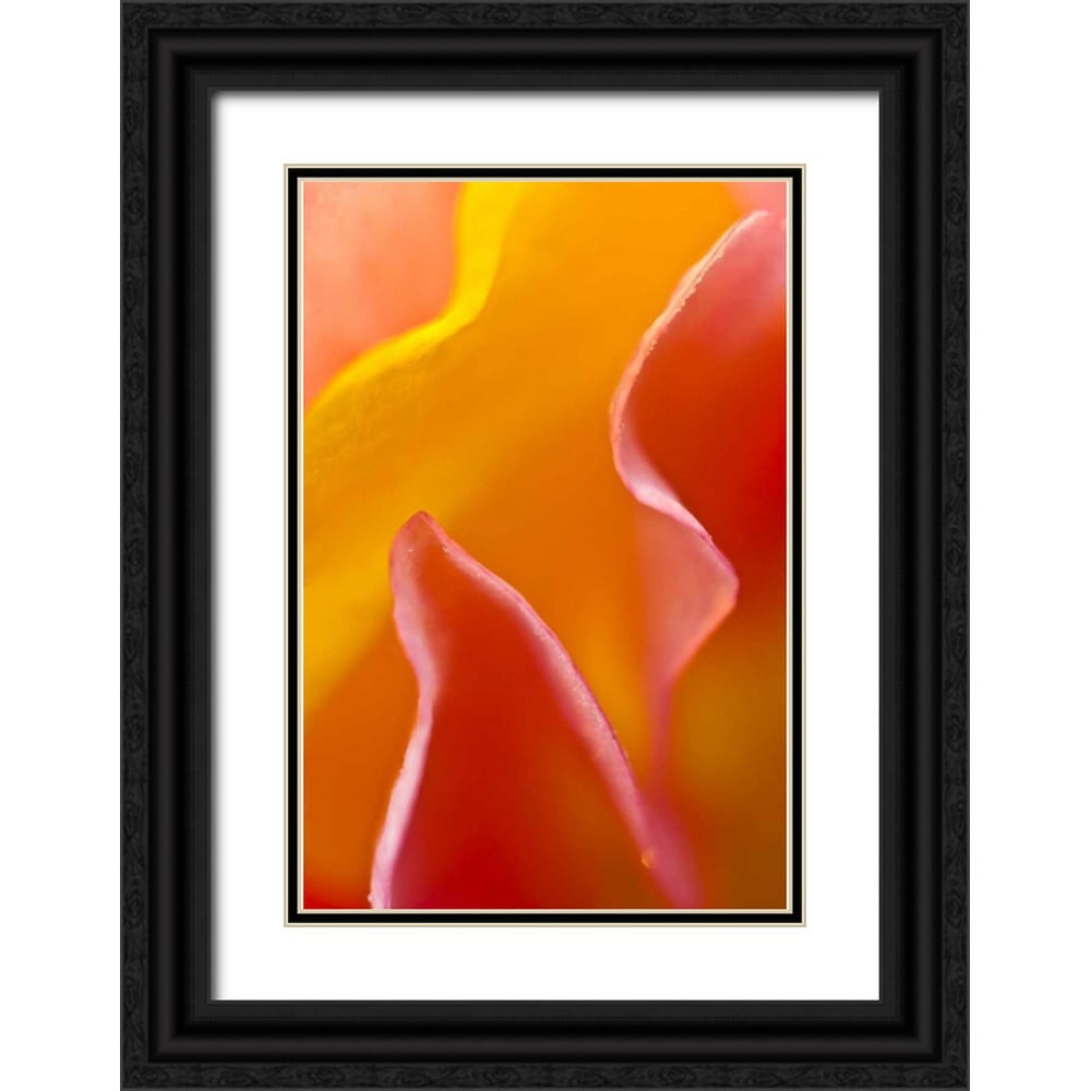 Rotenberg, Nancy 17x24 Black Ornate Wood Framed with Double Matting Museum Art Print Titled ...