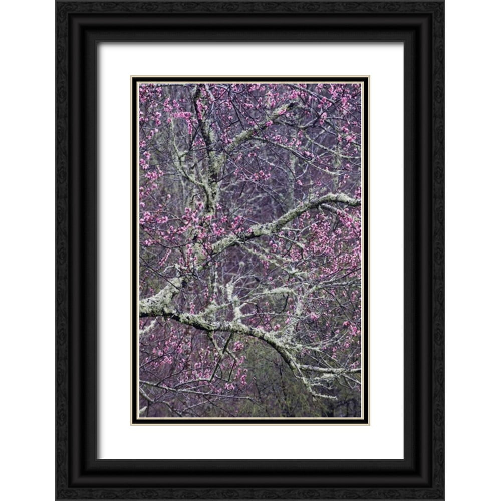 Rotenberg, Nancy 17x24 Black Ornate Wood Framed with Double Matting Museum Art Print Titled ...