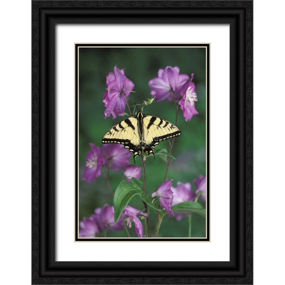 Rotenberg, Nancy 17x24 Black Ornate Wood Framed with Double Matting ...