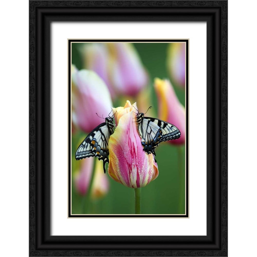 Rotenberg, Nancy 17x24 Black Ornate Wood Framed with Double Matting Museum Art Print Titled ...