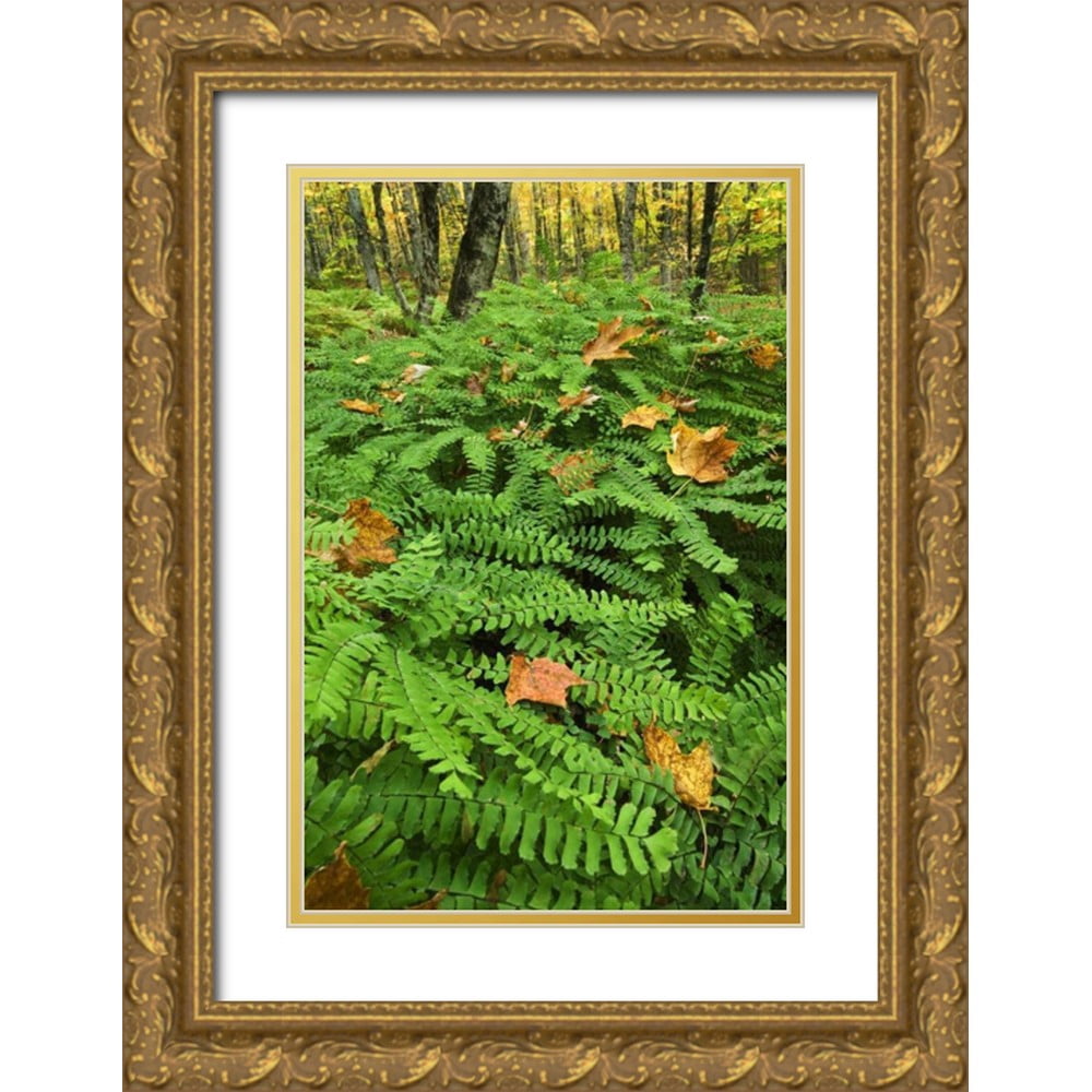 Rotenberg, Nancy 17x24 Gold Ornate Wood Framed with Double Matting ...