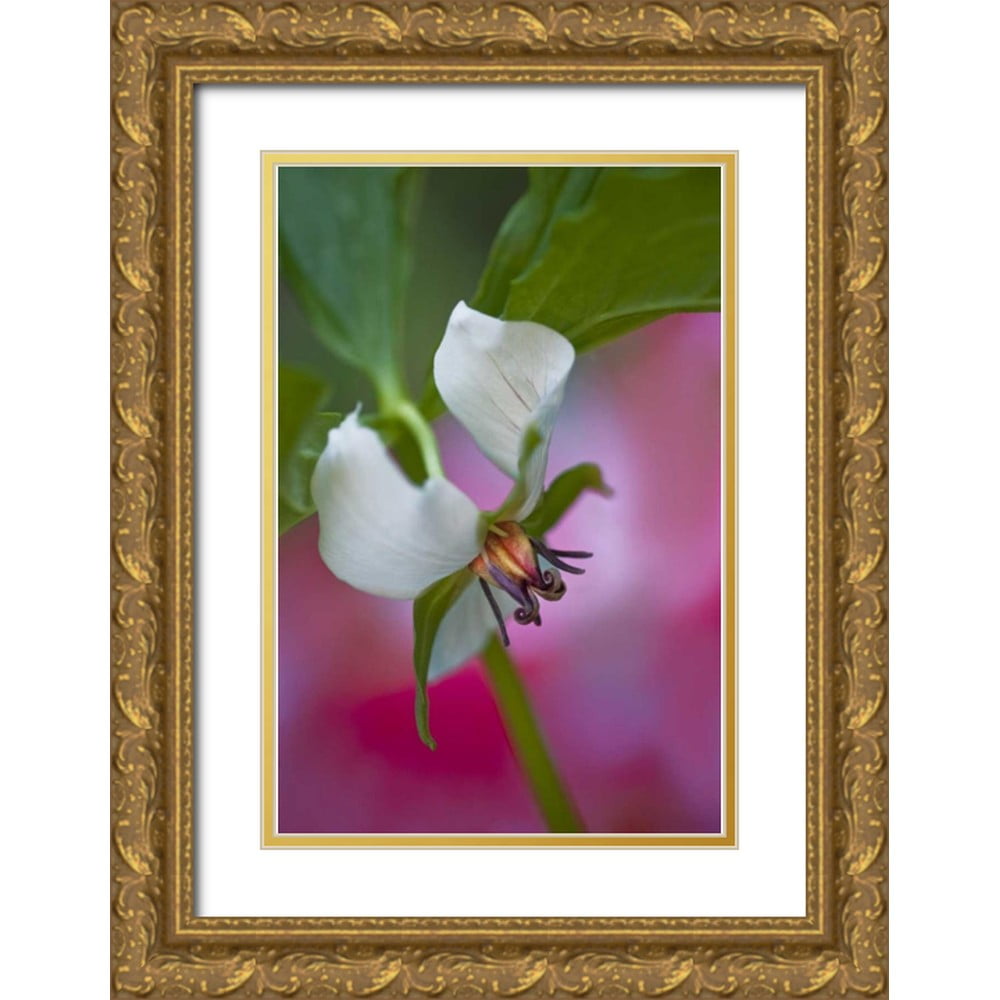 Rotenberg, Nancy 17x24 Gold Ornate Wood Framed with Double Matting ...