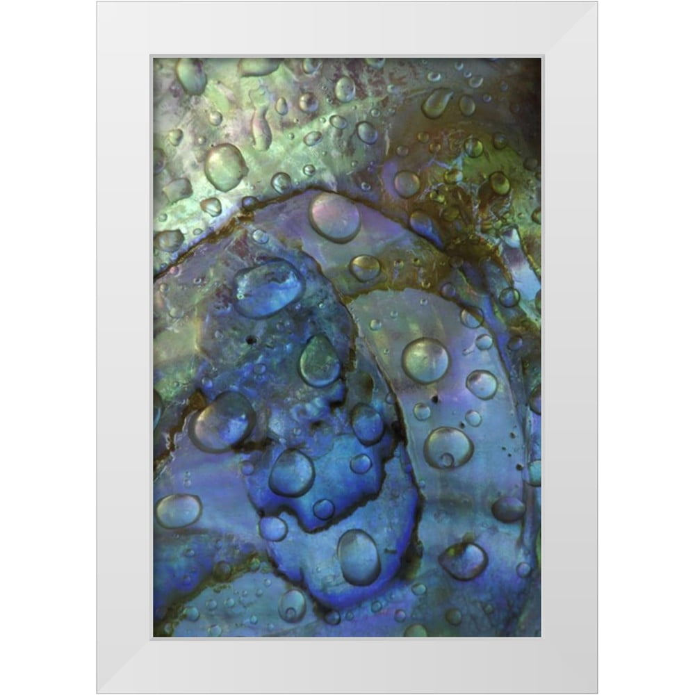 Rotenberg, Nancy 17x24 White Modern Wood Framed Museum Art Print Titled ...