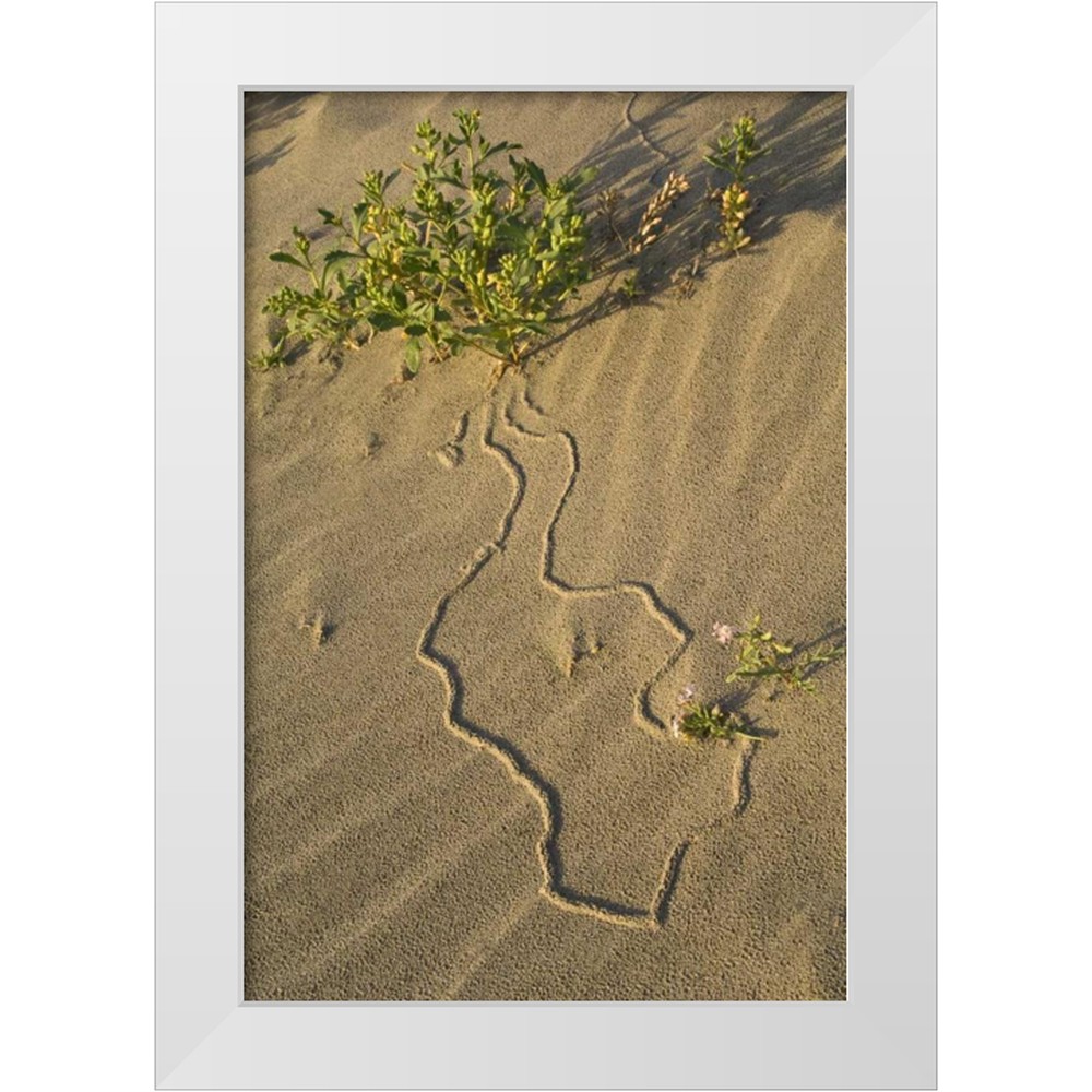 Rotenberg, Nancy 17x24 White Modern Wood Framed Museum Art Print Titled ...