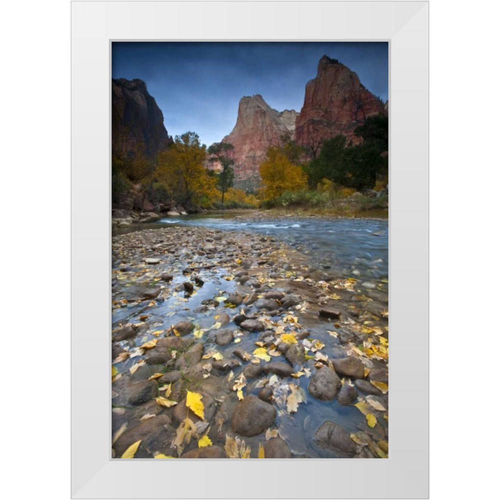 Rotenberg, Nancy 17x24 White Modern Wood Framed Museum Art Print Titled ...