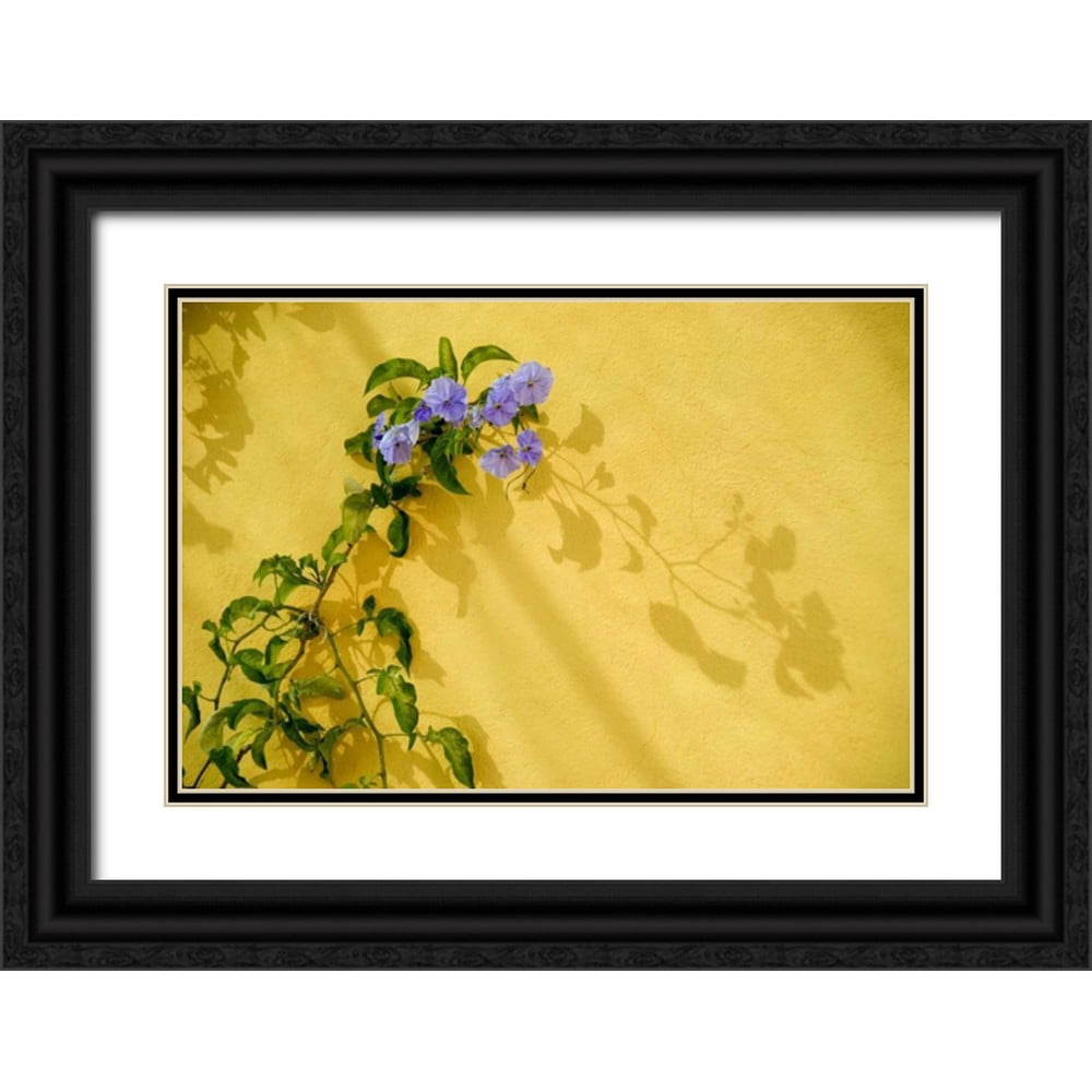 Rotenberg, Nancy 18x13 Black Ornate Wood Framed with Double Matting ...