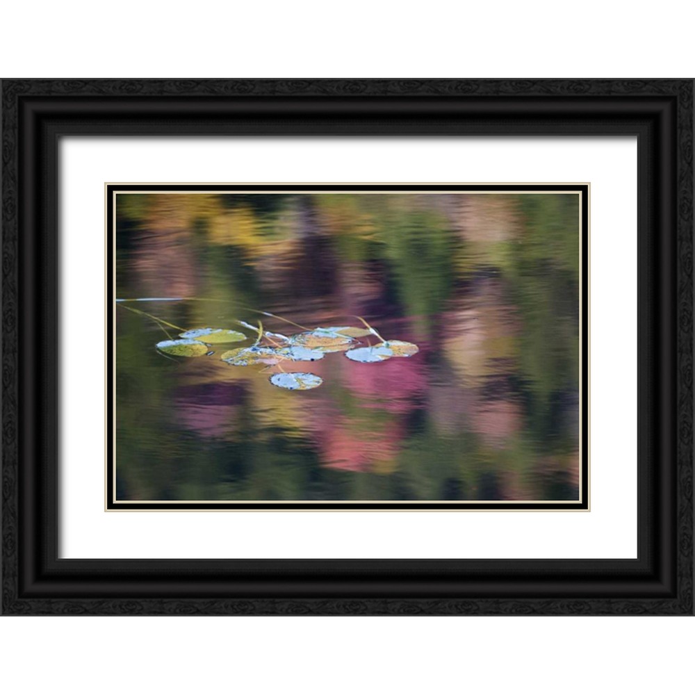Rotenberg, Nancy 18x13 Black Ornate Wood Framed with Double Matting ...