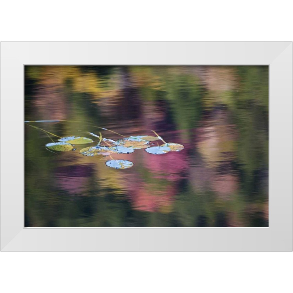 Rotenberg, Nancy 18x13 White Modern Wood Framed Museum Art Print Titled ...