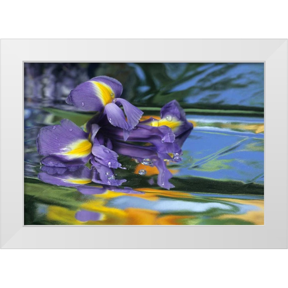 Rotenberg, Nancy 18x13 White Modern Wood Framed Museum Art Print Titled ...