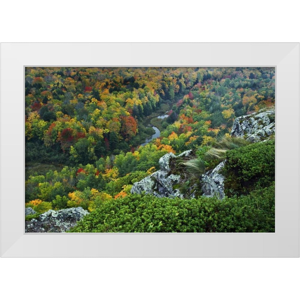 Rotenberg, Nancy 18x13 White Modern Wood Framed Museum Art Print Titled ...