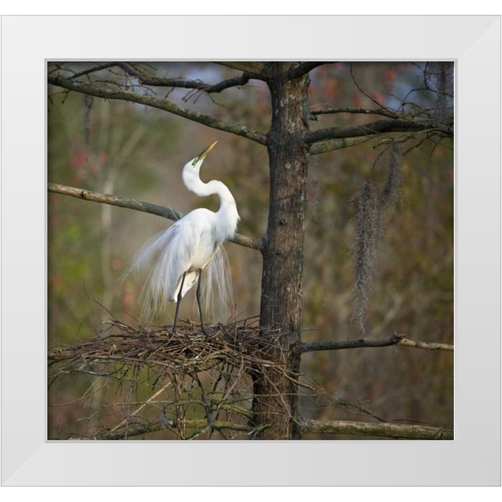 Rotenberg, Nancy 21x20 White Modern Wood Framed Museum Art Print Titled ...