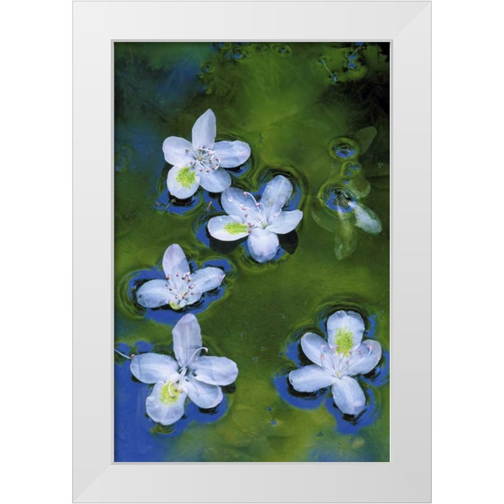 Rotenberg, Nancy 22x32 White Modern Wood Framed Museum Art Print Titled ...