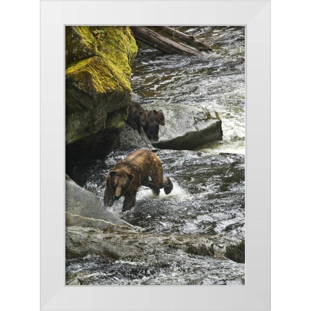 Rotenberg, Nancy 23x32 White Modern Wood Framed Museum Art Print Titled ...