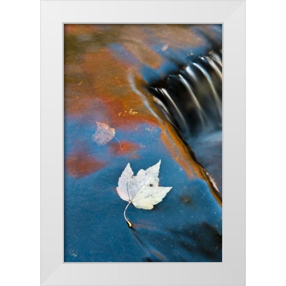 Rotenberg, Nancy 23x32 White Modern Wood Framed Museum Art Print Titled ...