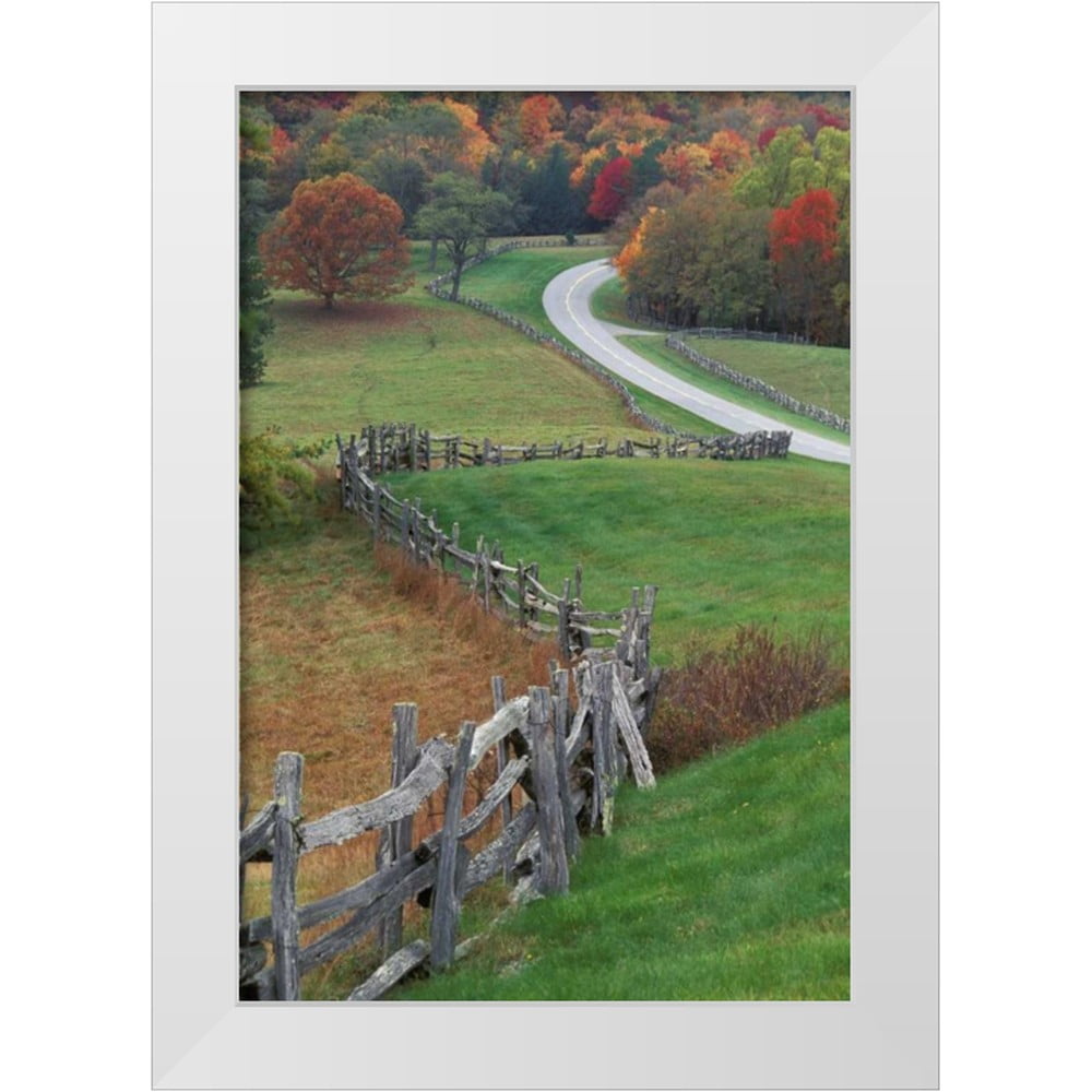 Rotenberg, Nancy 23x32 White Modern Wood Framed Museum Art Print Titled ...