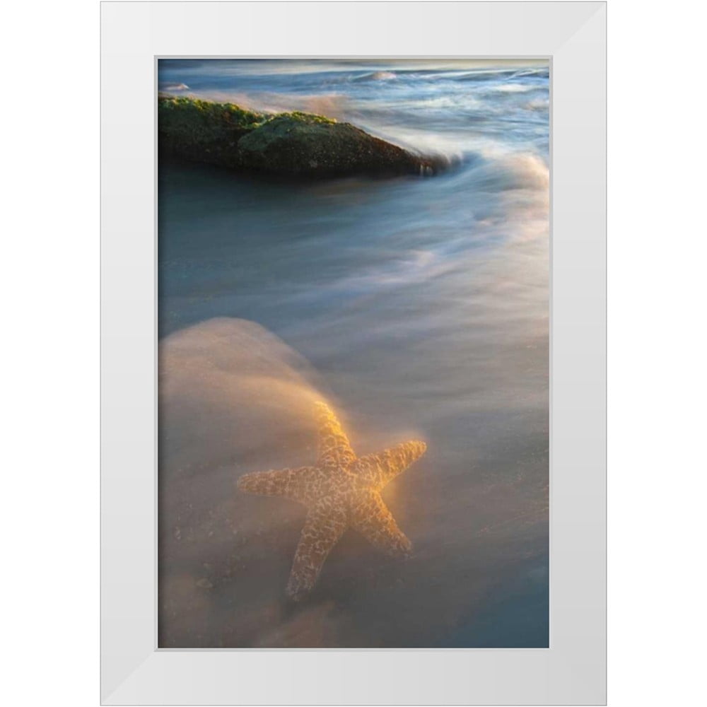 Rotenberg, Nancy 23x32 White Modern Wood Framed Museum Art Print Titled ...