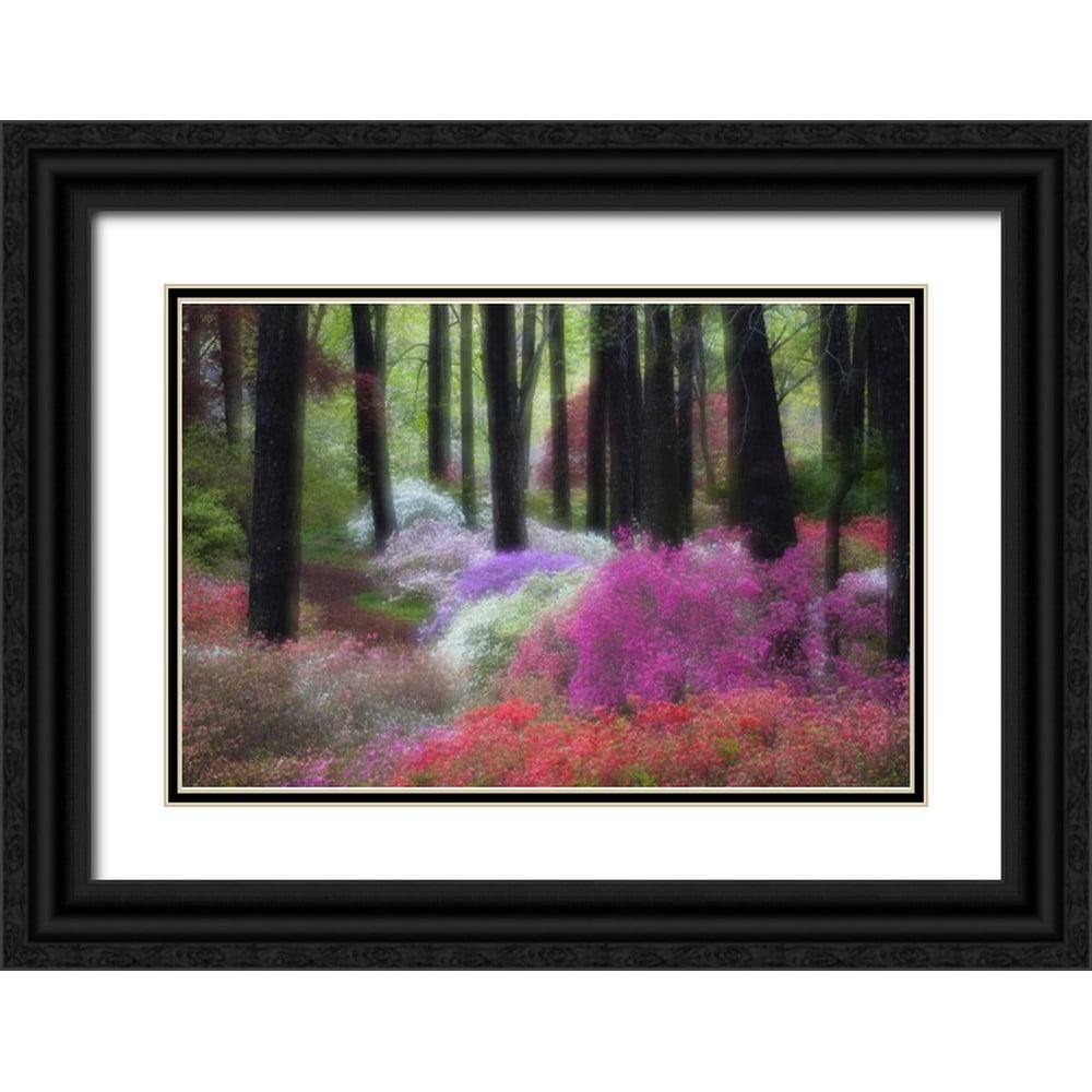 Rotenberg, Nancy 24x17 Black Ornate Wood Framed with Double Matting Museum Art Print Titled - GA ...