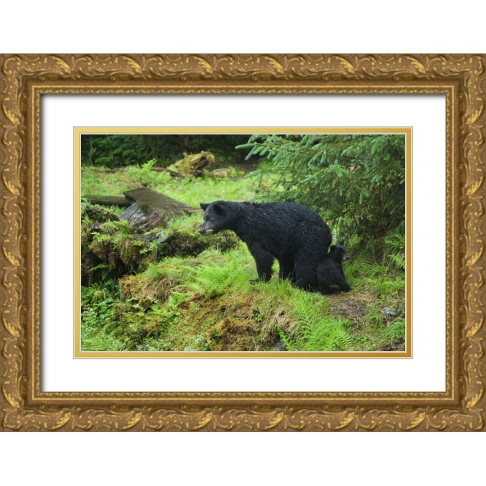 Rotenberg, Nancy 24x17 Gold Ornate Wood Framed with Double Matting Museum Art Print Titled - AK ...