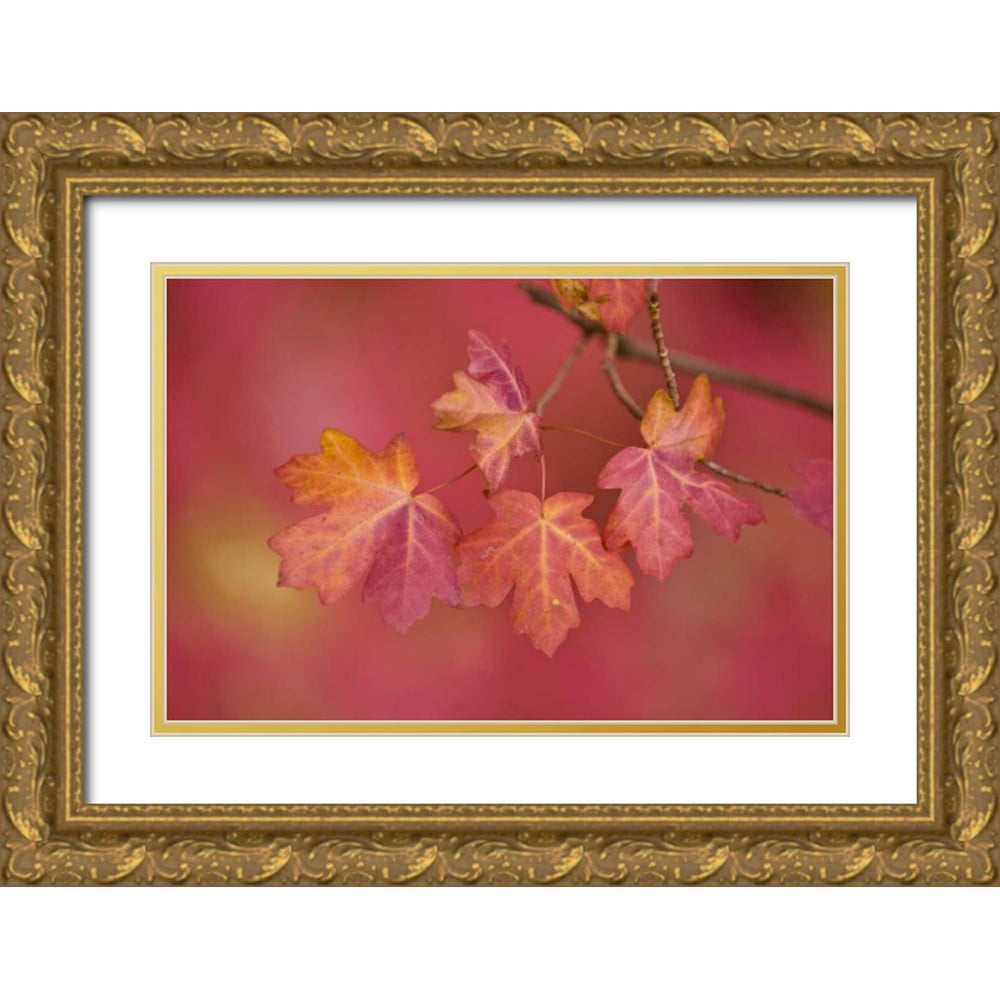 Rotenberg, Nancy 24x17 Gold Ornate Wood Framed with Double Matting ...