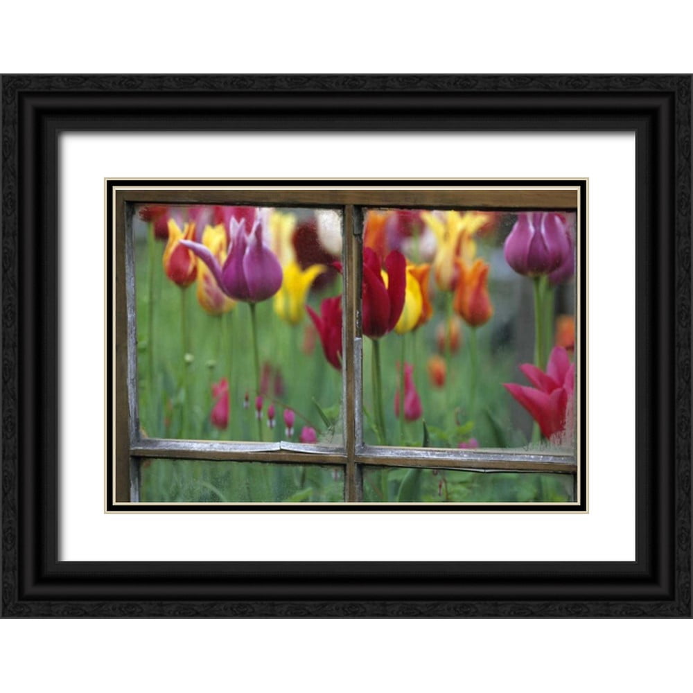 Rotenberg, Nancy 24x18 Black Ornate Wood Framed with Double Matting Museum Art Print Titled ...