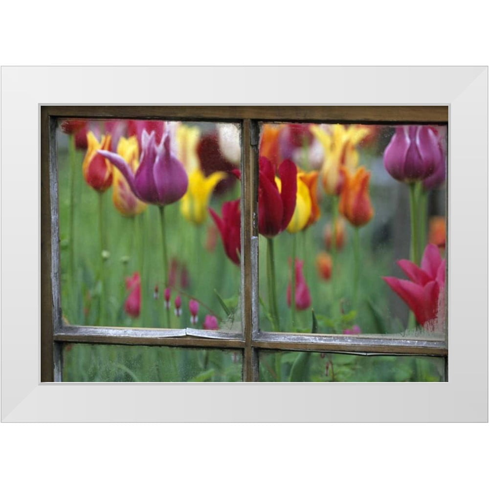 Rotenberg, Nancy 24x18 White Modern Wood Framed Museum Art Print Titled ...