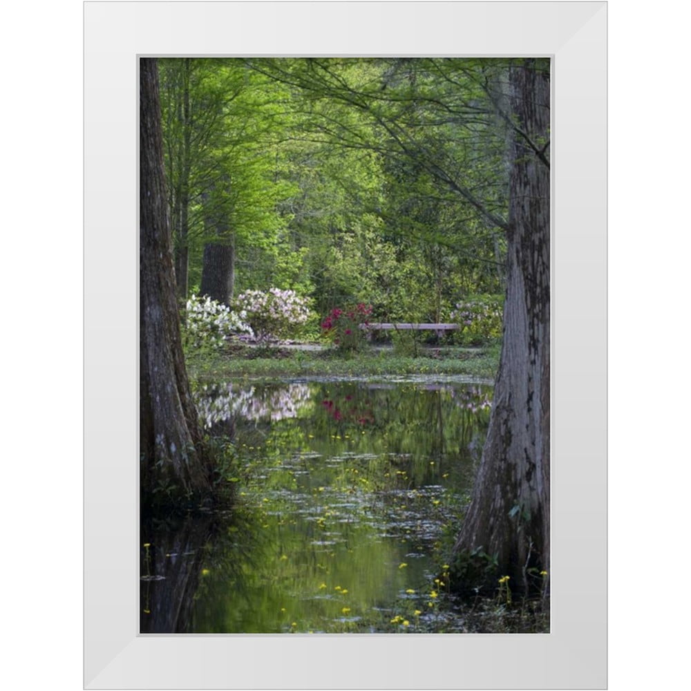 Rotenberg, Nancy 24x32 White Modern Wood Framed Museum Art Print Titled ...