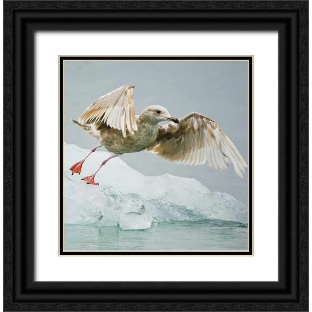 Rotenberg, Nancy 26x27 Black Ornate Wood Framed with Double Matting Museum Art Print Titled - AK ...