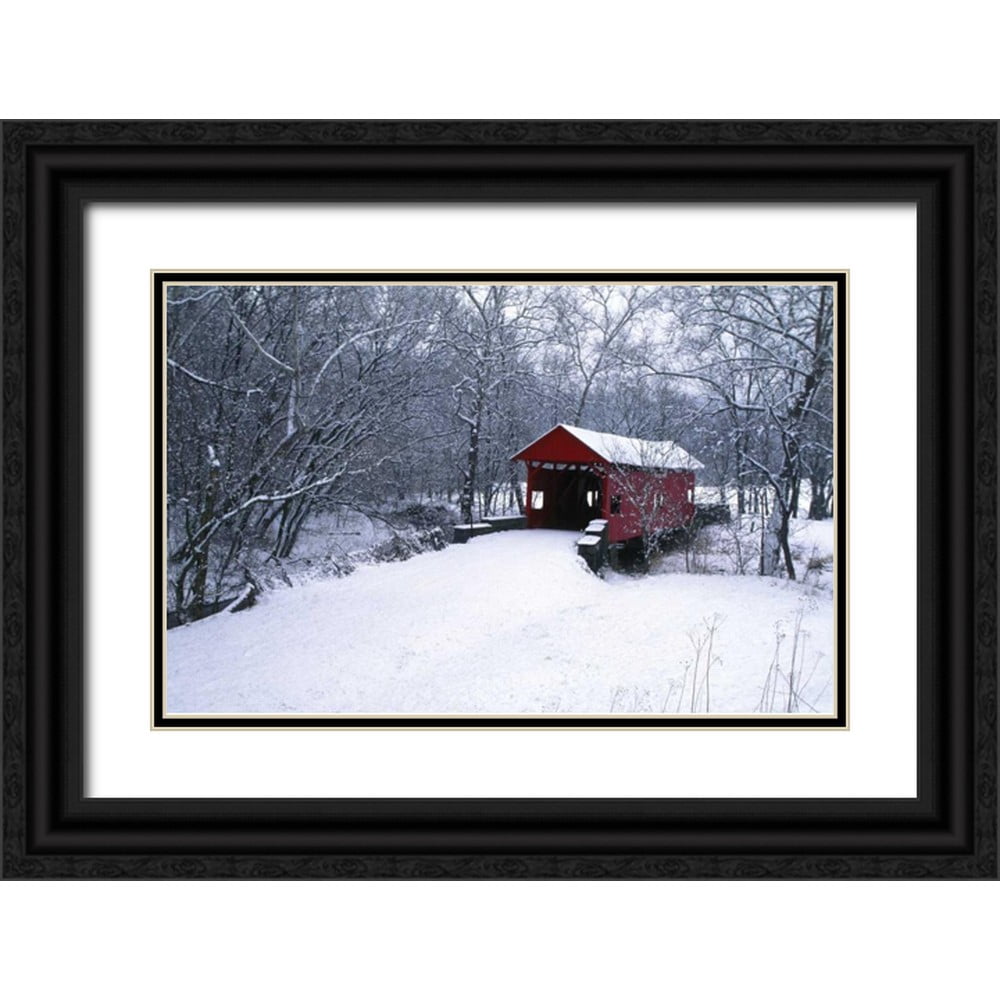Rotenberg, Nancy 32x22 Black Ornate Wood Framed with Double Matting ...