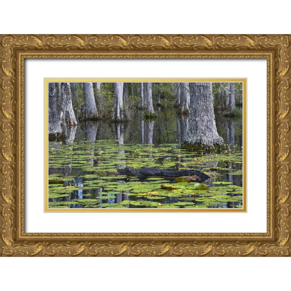 Rotenberg, Nancy 32x22 Gold Ornate Wood Framed with Double Matting ...