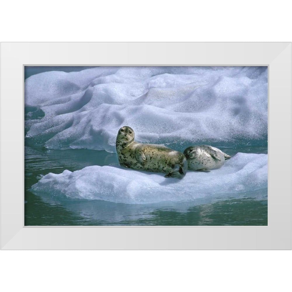 Rotenberg, Nancy 32x22 White Modern Wood Framed Museum Art Print Titled ...