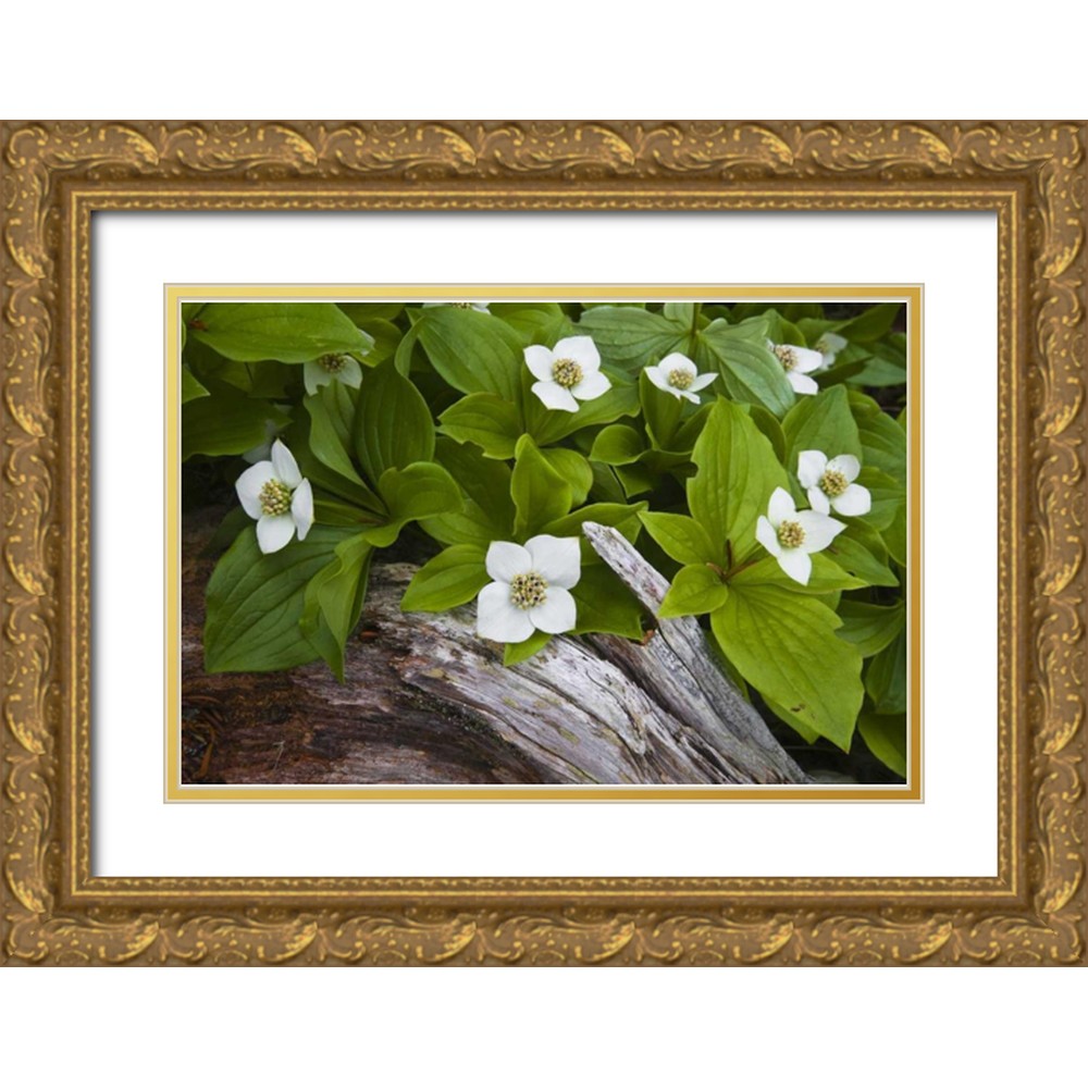 Rotenberg, Nancy 32x23 Gold Ornate Wood Framed with Double Matting ...