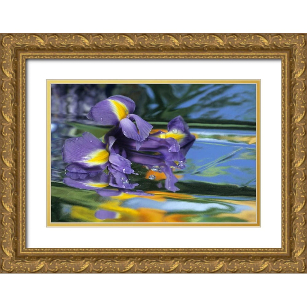 Rotenberg, Nancy 32x23 Gold Ornate Wood Framed with Double Matting ...